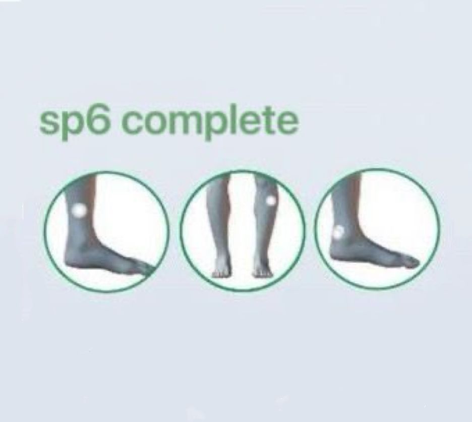 SP6 Complete Healing Patches Kit (Slimming and Hormones Control ...